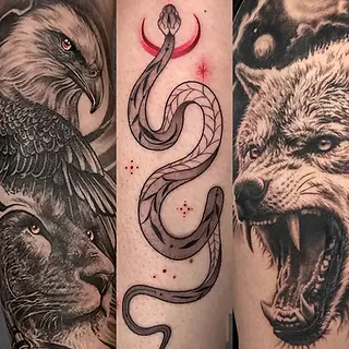 tattoo veterinary