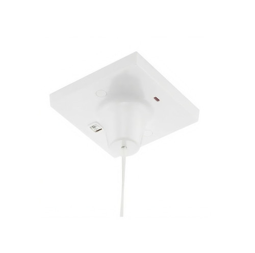 BG 800 Series white moulded Ceiling Switch 50A DP with Indicator 803-01 ...