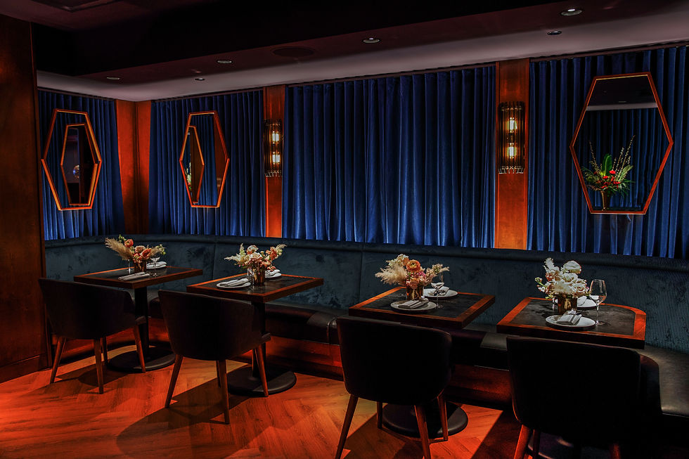 Xol Photography | Chicago drone photography