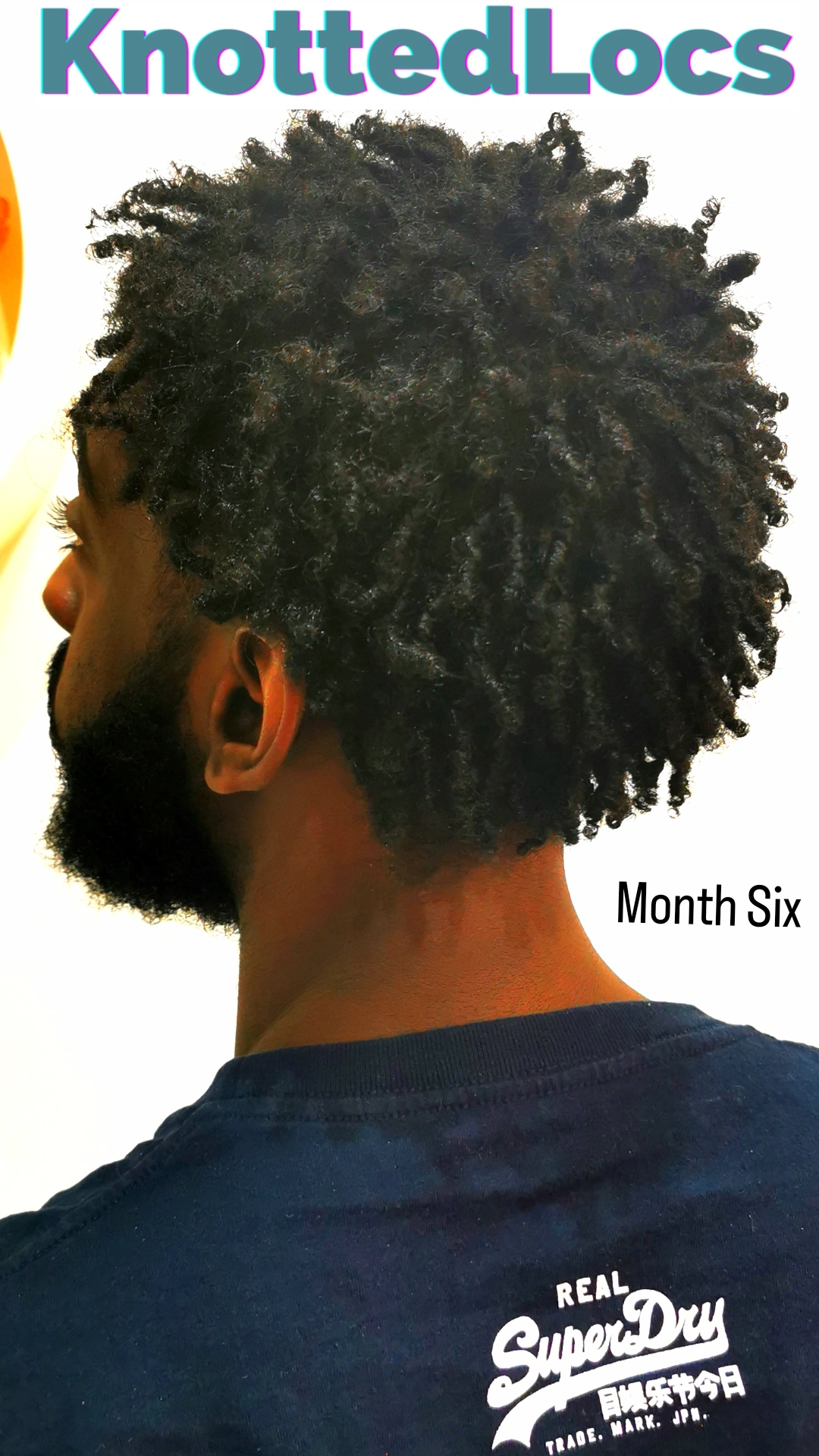 Knotted Locs Explained