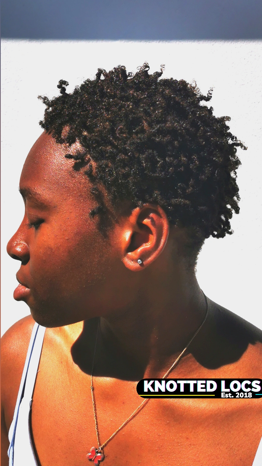 African Hair in Knotted Locs / Clients / Locs Care Shares