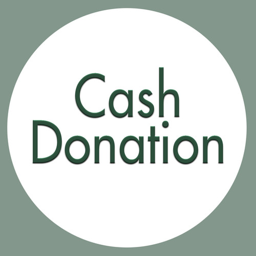 $250 Cash Donation | rcdc4kids