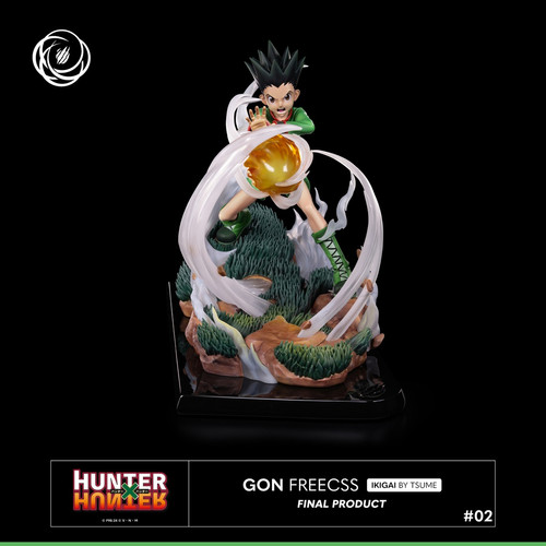 Gon Freecss Hunter X Hunter | Kjtpop World