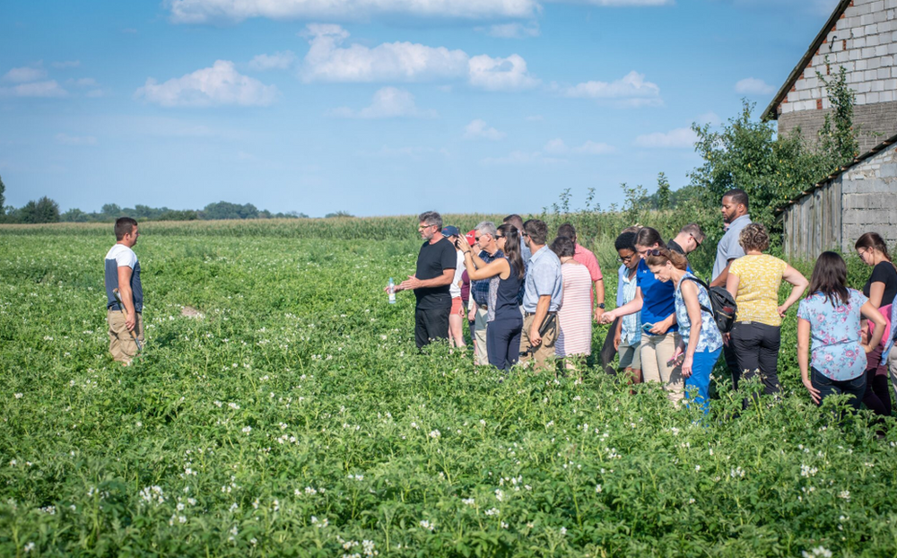 Experiencing Poland's Agriculture