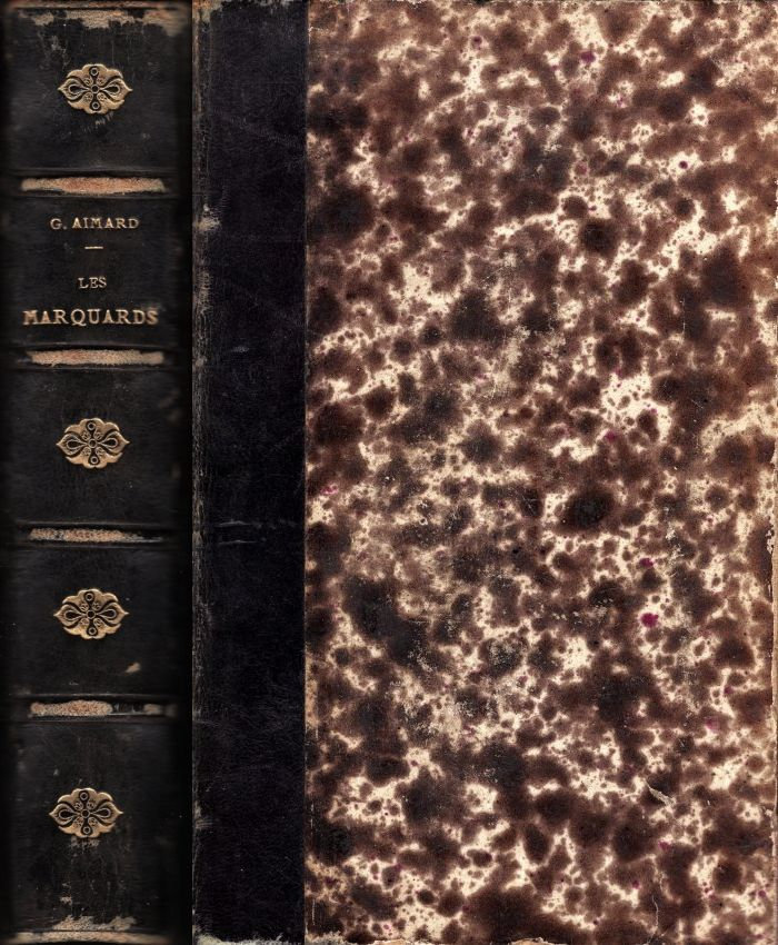 GUSTAVE AIMARD - « Les Marquards » [Aventures De Michel Hartmann, Tome ...