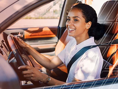 Virginia Driver Improvement Program (DIP) Online Course | NCR Training ...