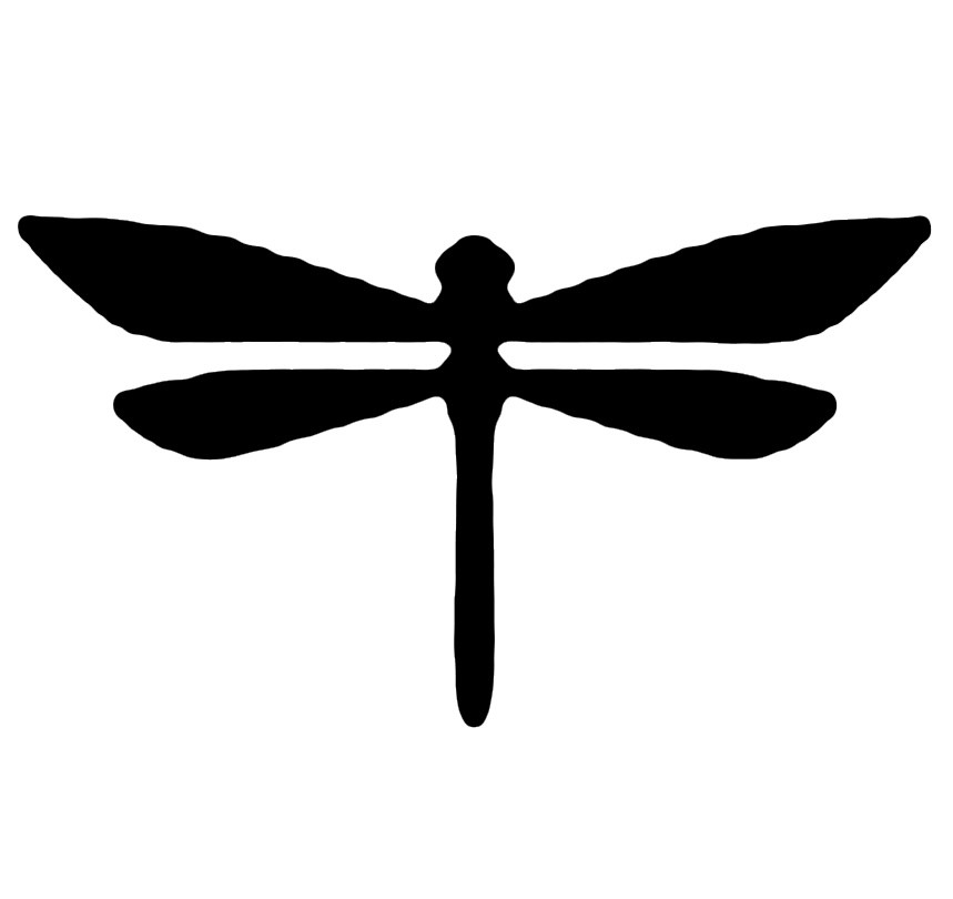 Boka klass | Dragonfly Studio