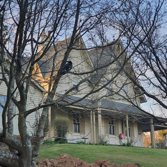 Hartzer Park Conference & Retreat Centre | Bowral