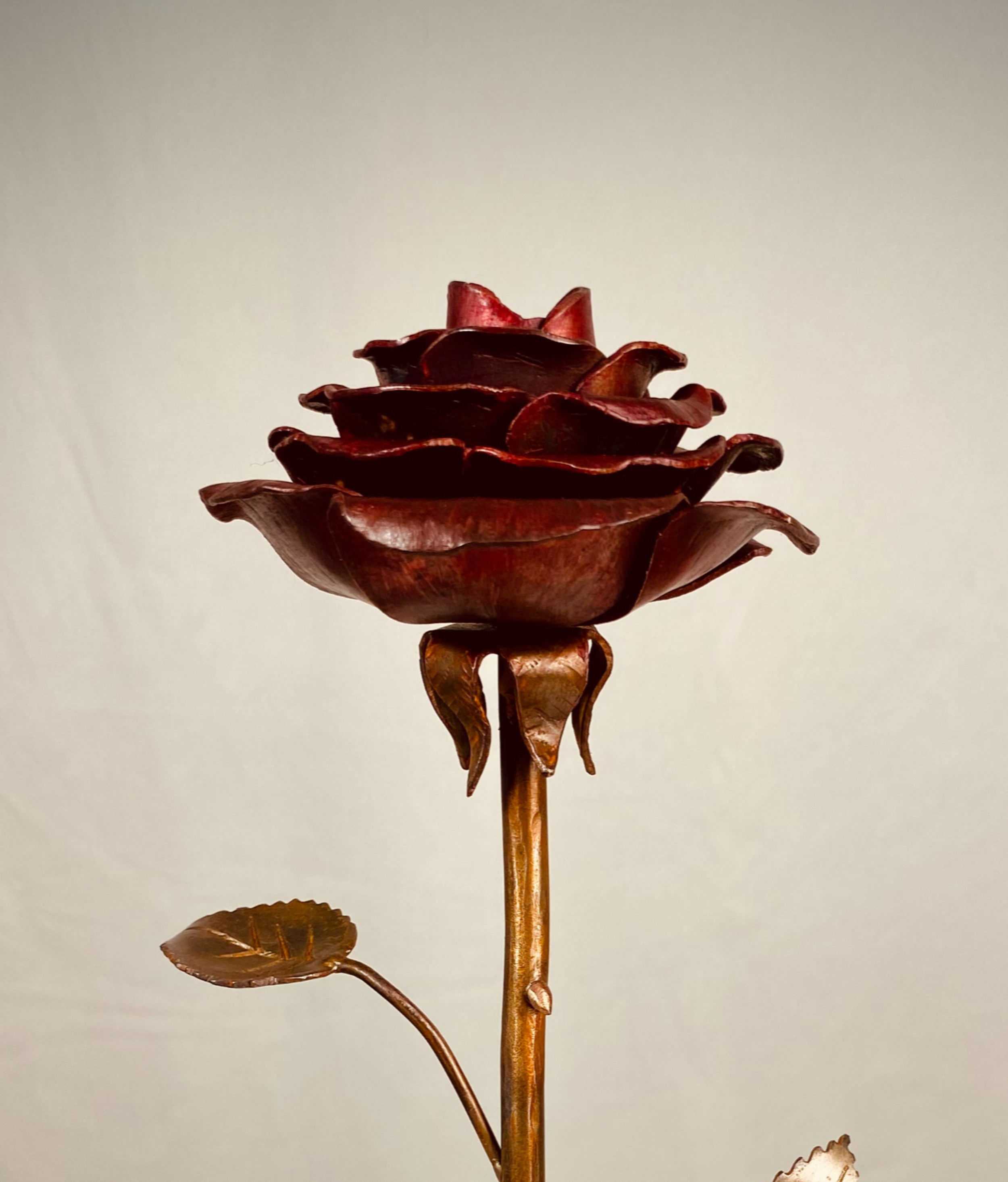 Steel Rose | Vojtech Blazejovsky