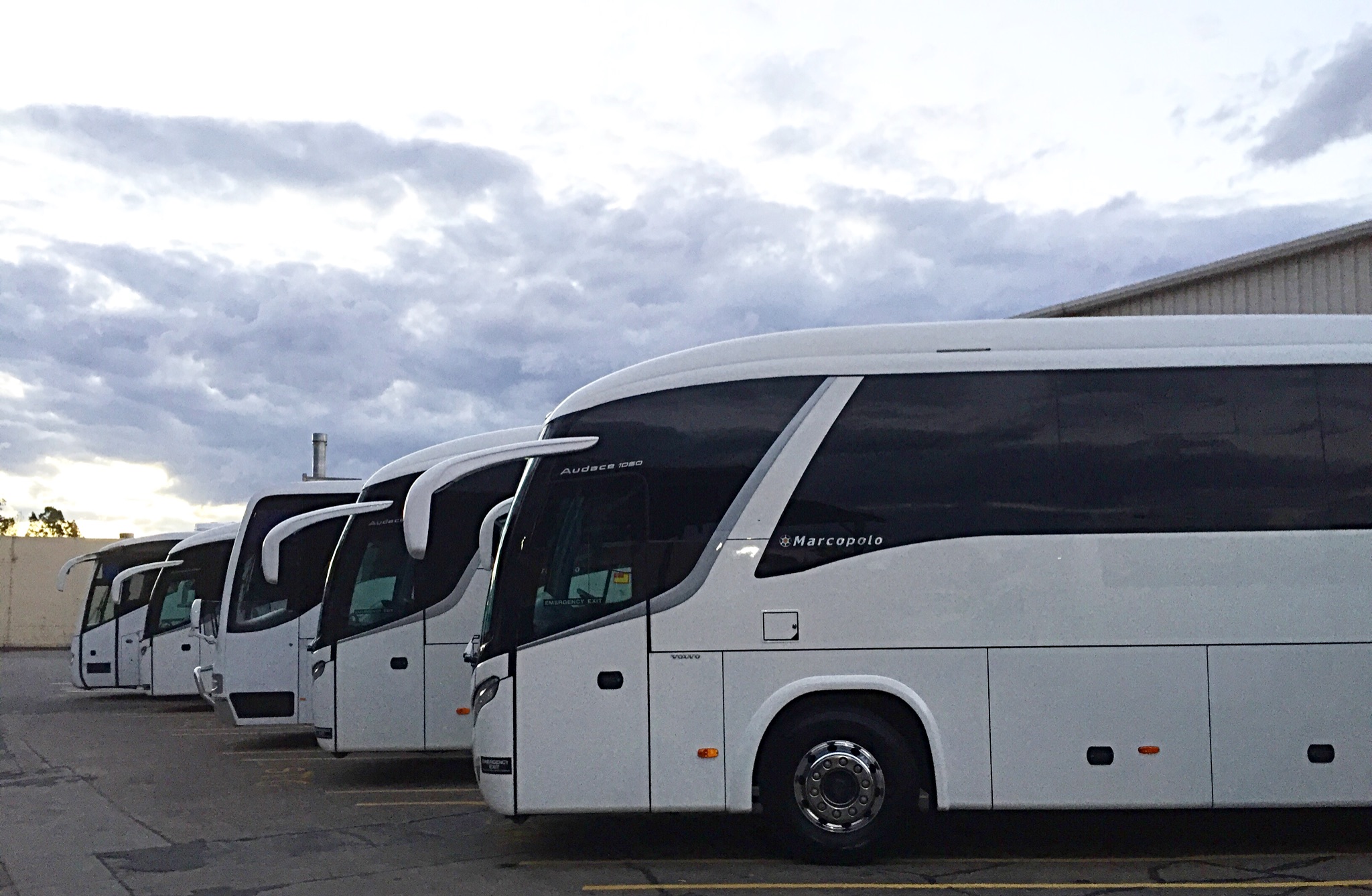 Our Fleet of Mini buses and Coaches | Sydney Group Transfer