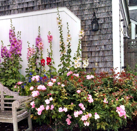 Nantucket Landscapers, Landscape Designer Nantucket, Landscaping Nantucket