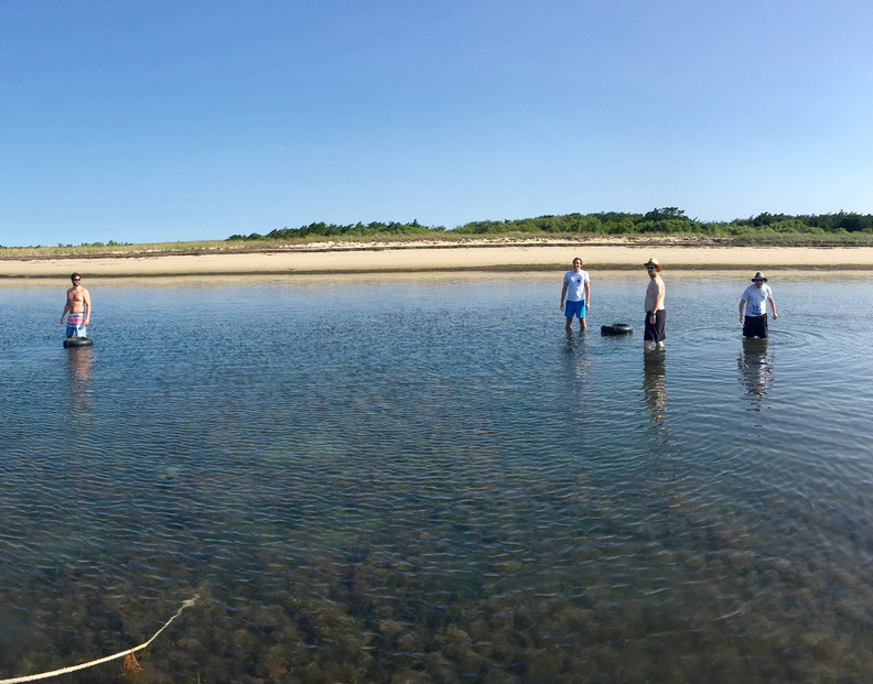 All Tours | Nantucket Cruises | Things To Do On Nantucket