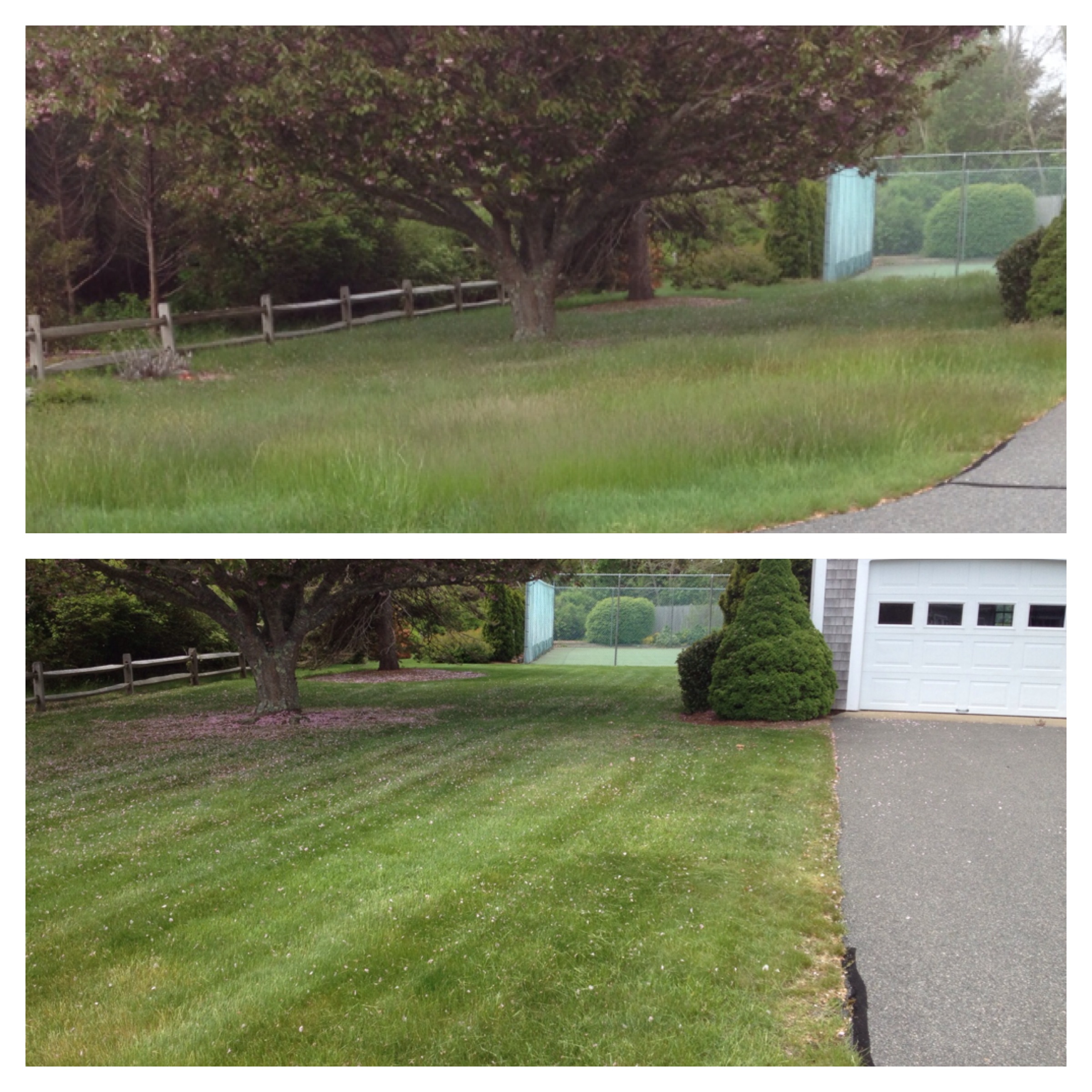 Cape Cod Lawn Mowing 8634
