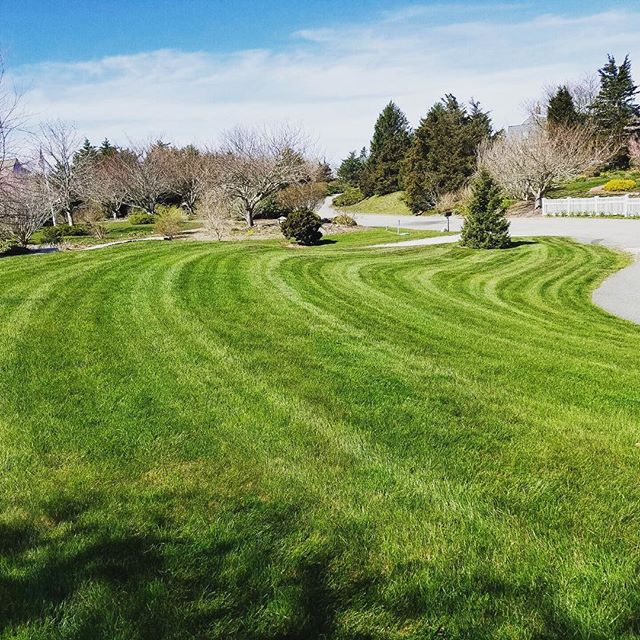 Cape Cod Lawn Mowing