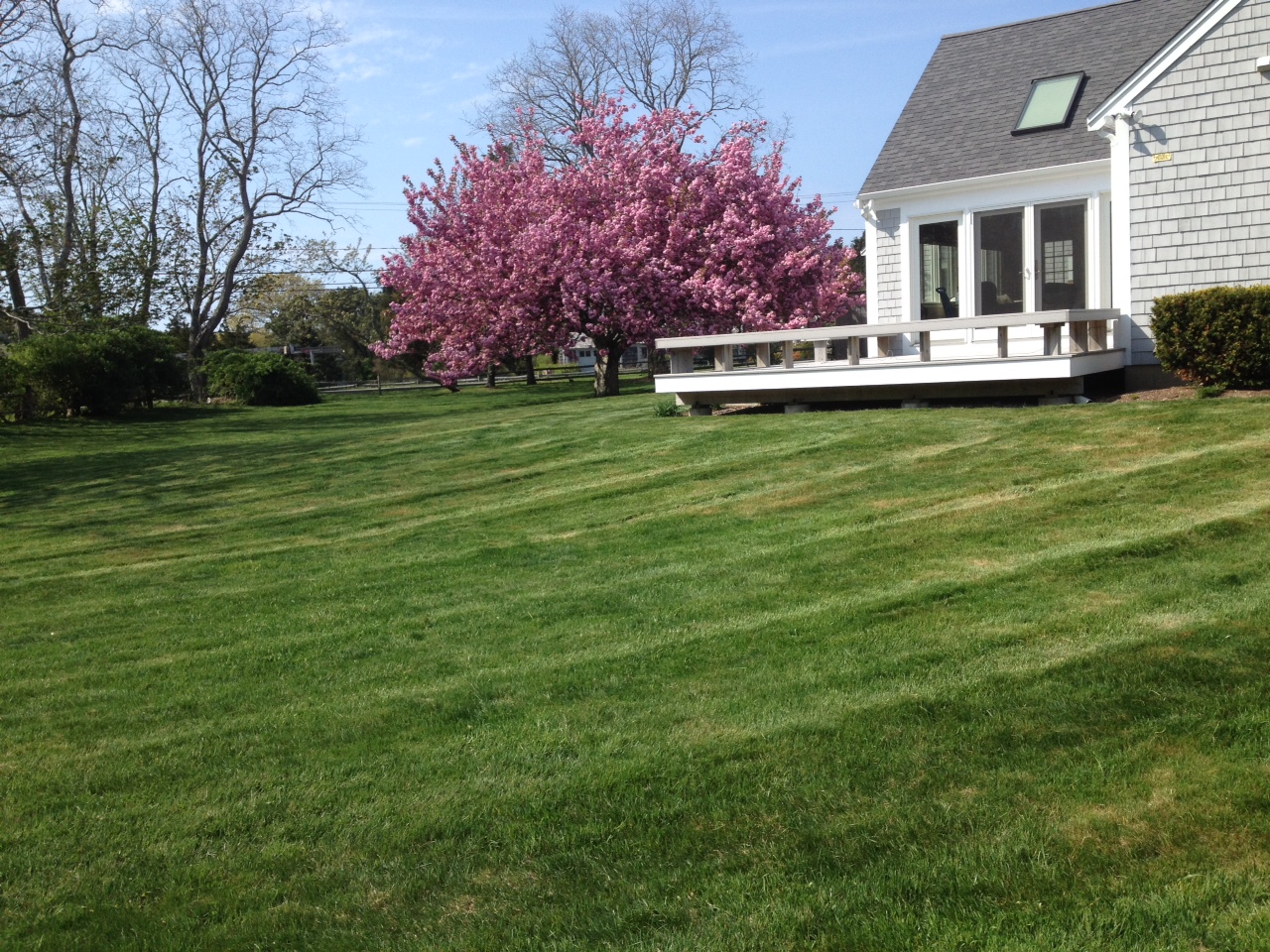 Cape Cod Lawn Mowing