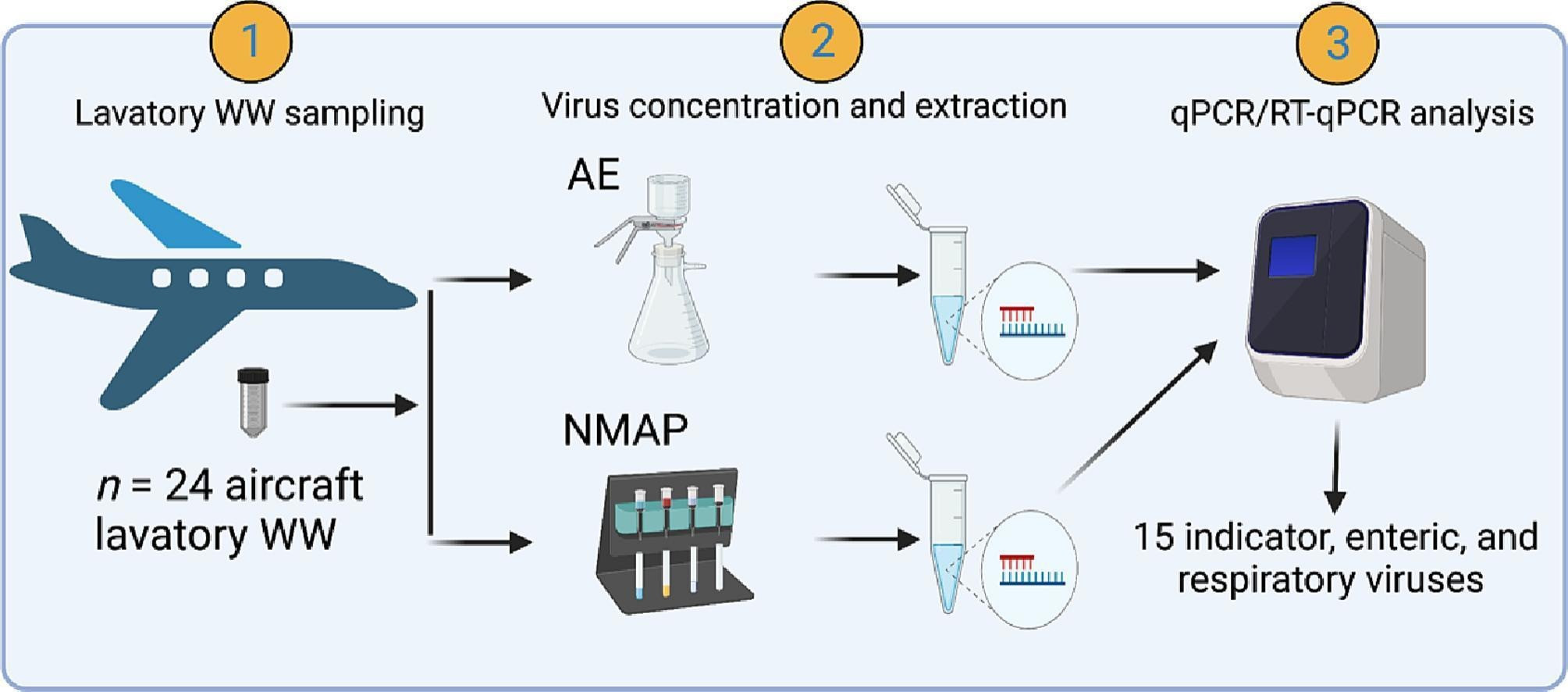 Unveiling viruses in aircraft lavatory wastewater using Nanotrap ...