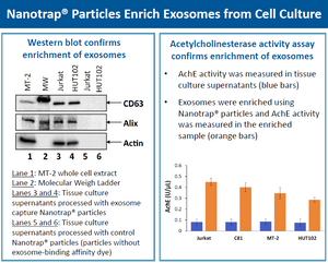Poster: Nanotrap® for Enrichment of Exosomes