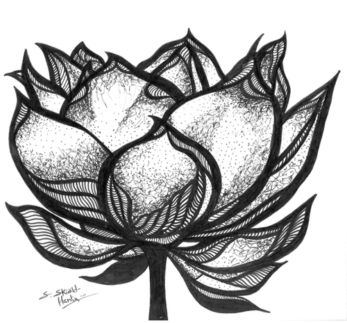 Lotus Flower - Limited Edition Print | Sarah Skiold Hanlin