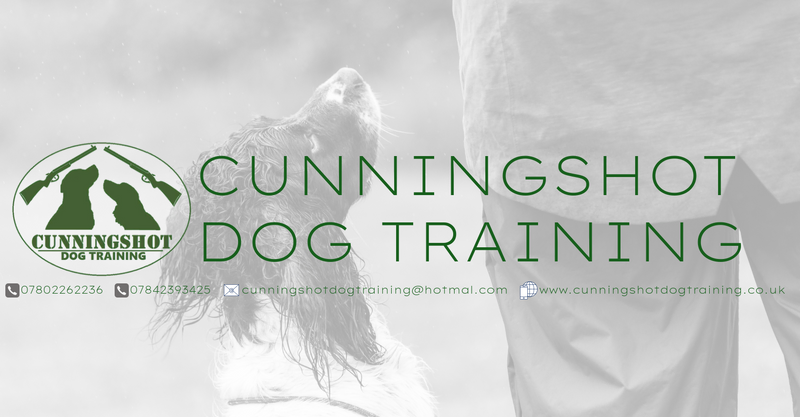ONLINE TRAINING | Cunningshot