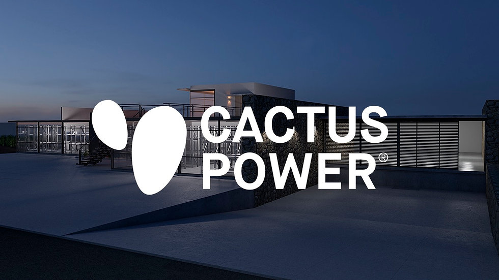 Cactus Power México: Nopal en Polvo