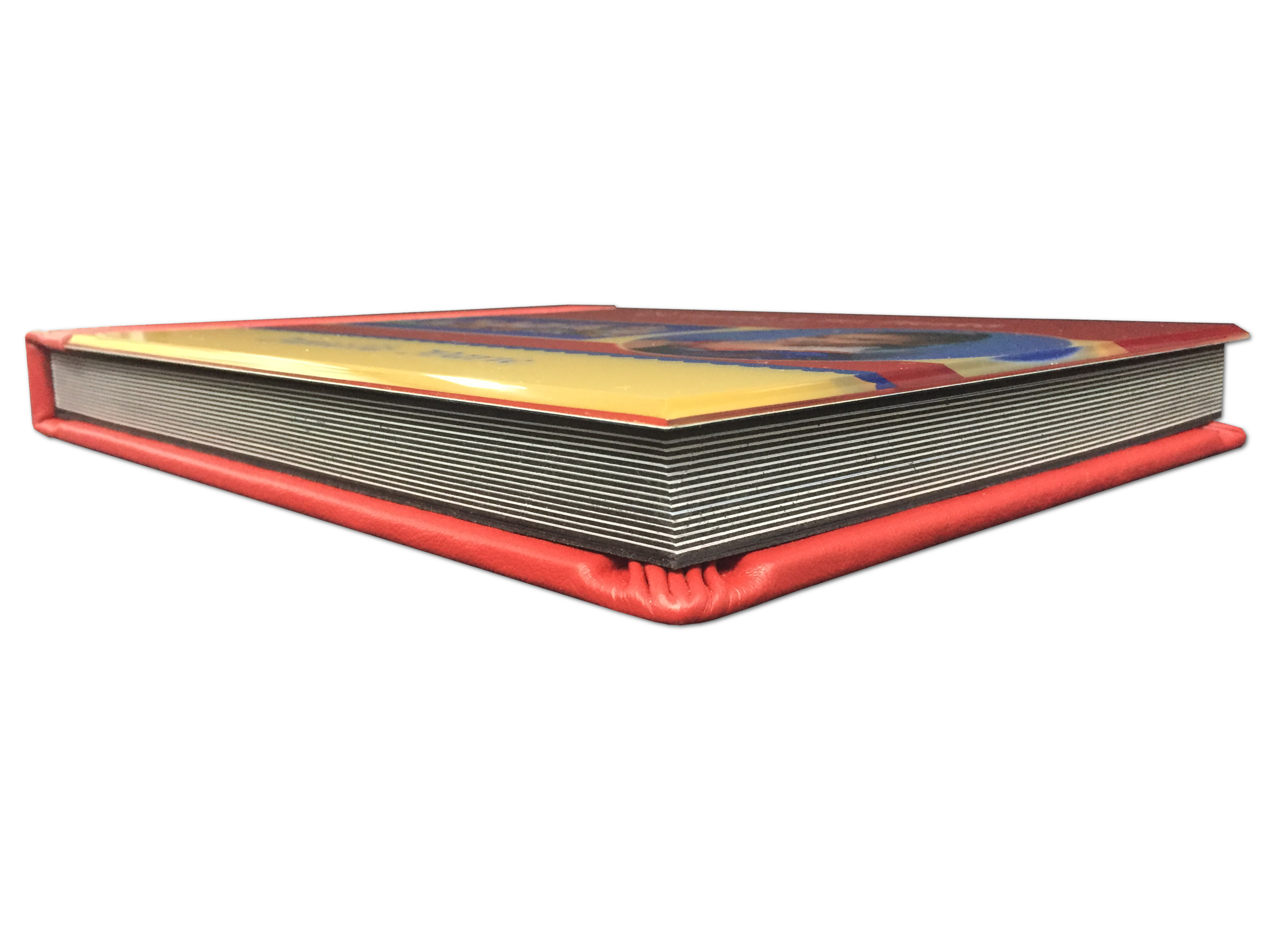 Acrylic Album | Photo Pro