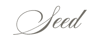 Seed Estudio