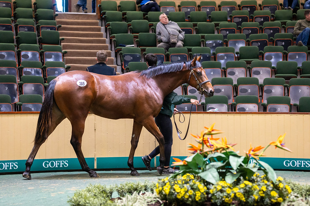 Session-topping filly for Inns Of Court