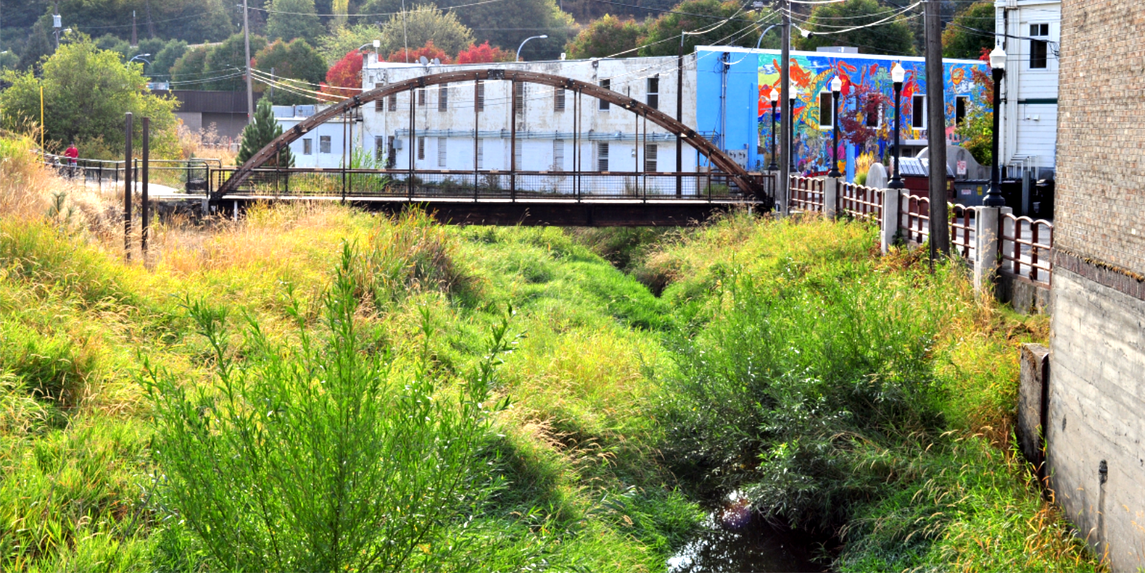 Pullman Adopt-A-Stream Program | Palouse Conservation District