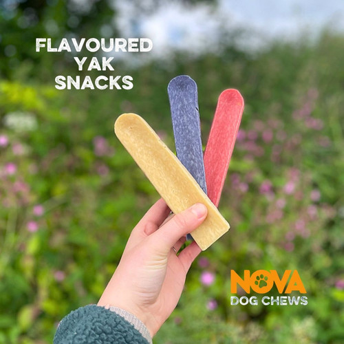 Fruit Flavoured Yak Snacks | Frenchie Fanciez