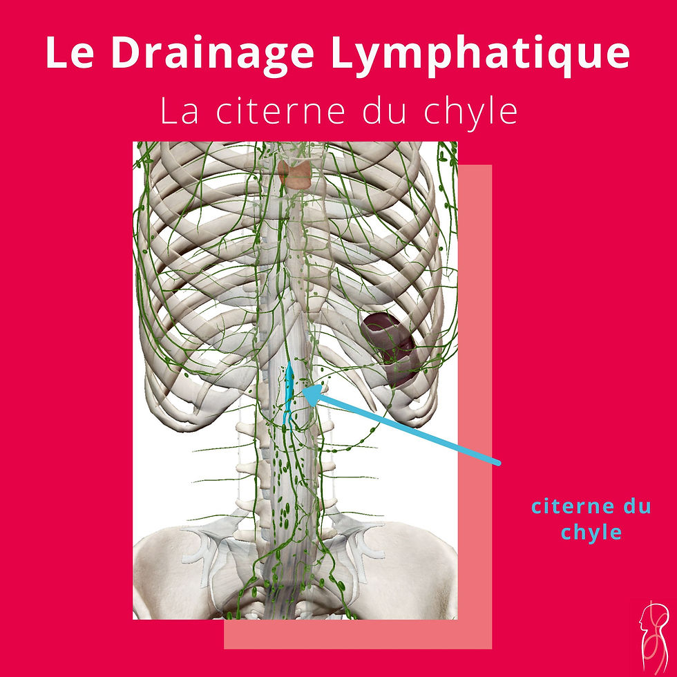 Le Drainage Lymphatique