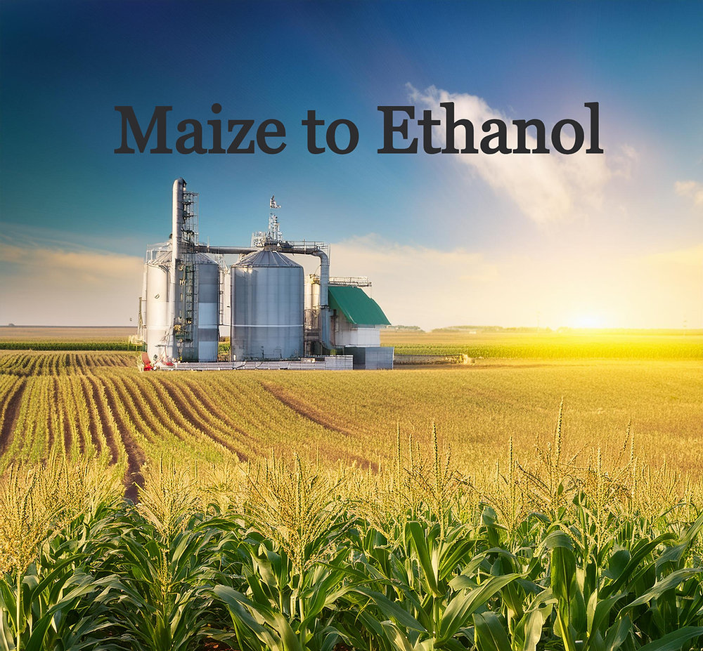Maize-to-Ethanol Challenges