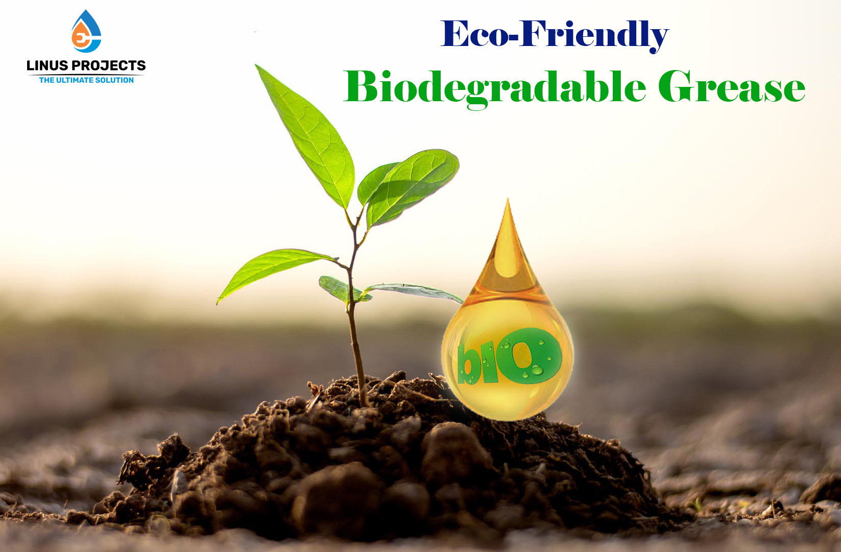 Eco-Friendly & Bio-Base Grease