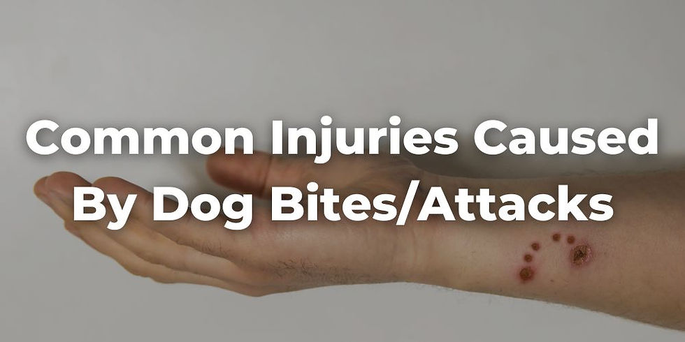 What Is The Statute Of Limitations For Dog Bite In Ohio?