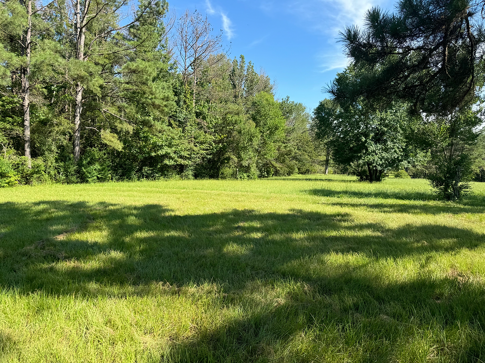 Real Estate Trends for Big Tracts of Land: