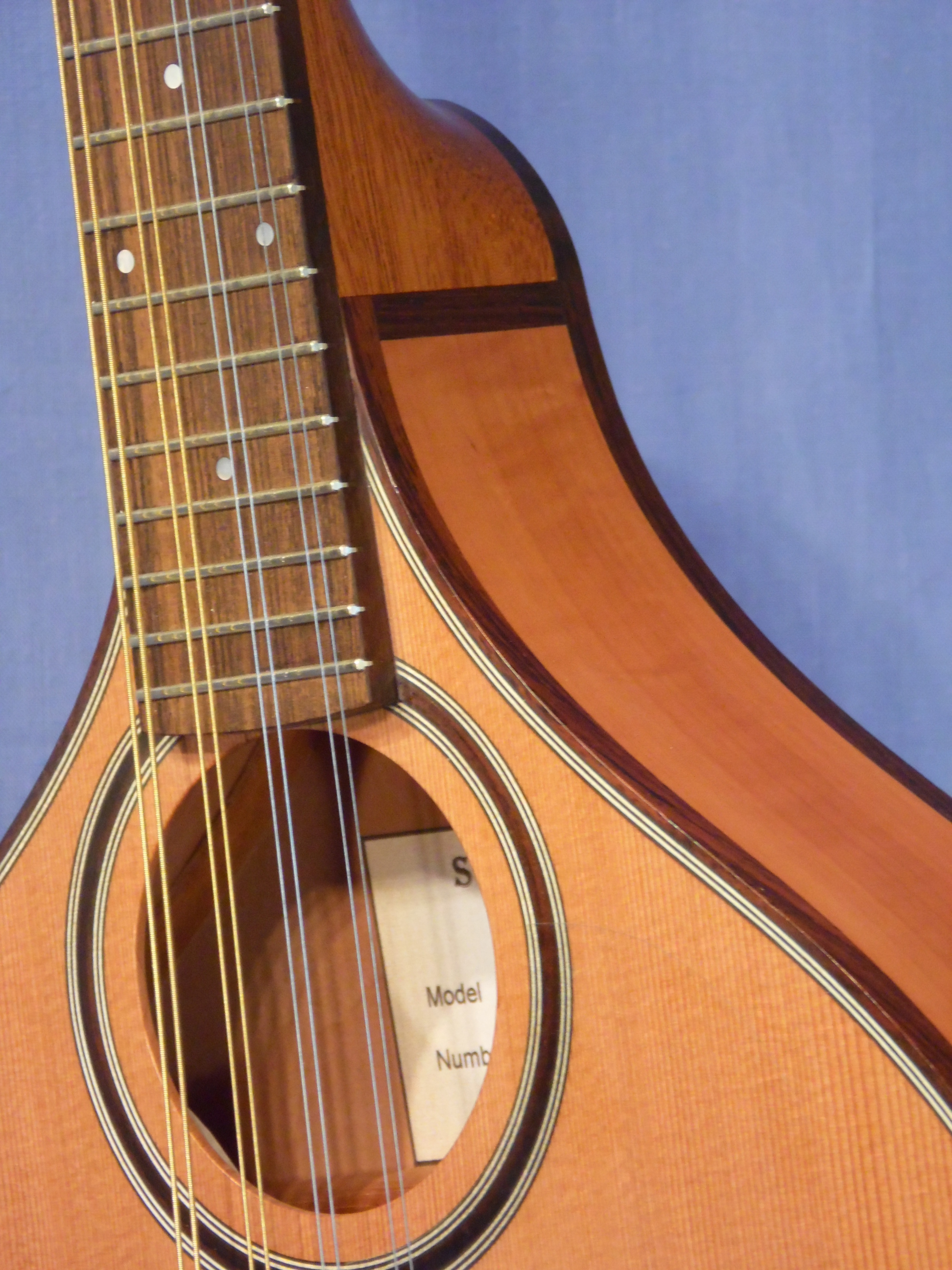 Mandolins | steve-agnew