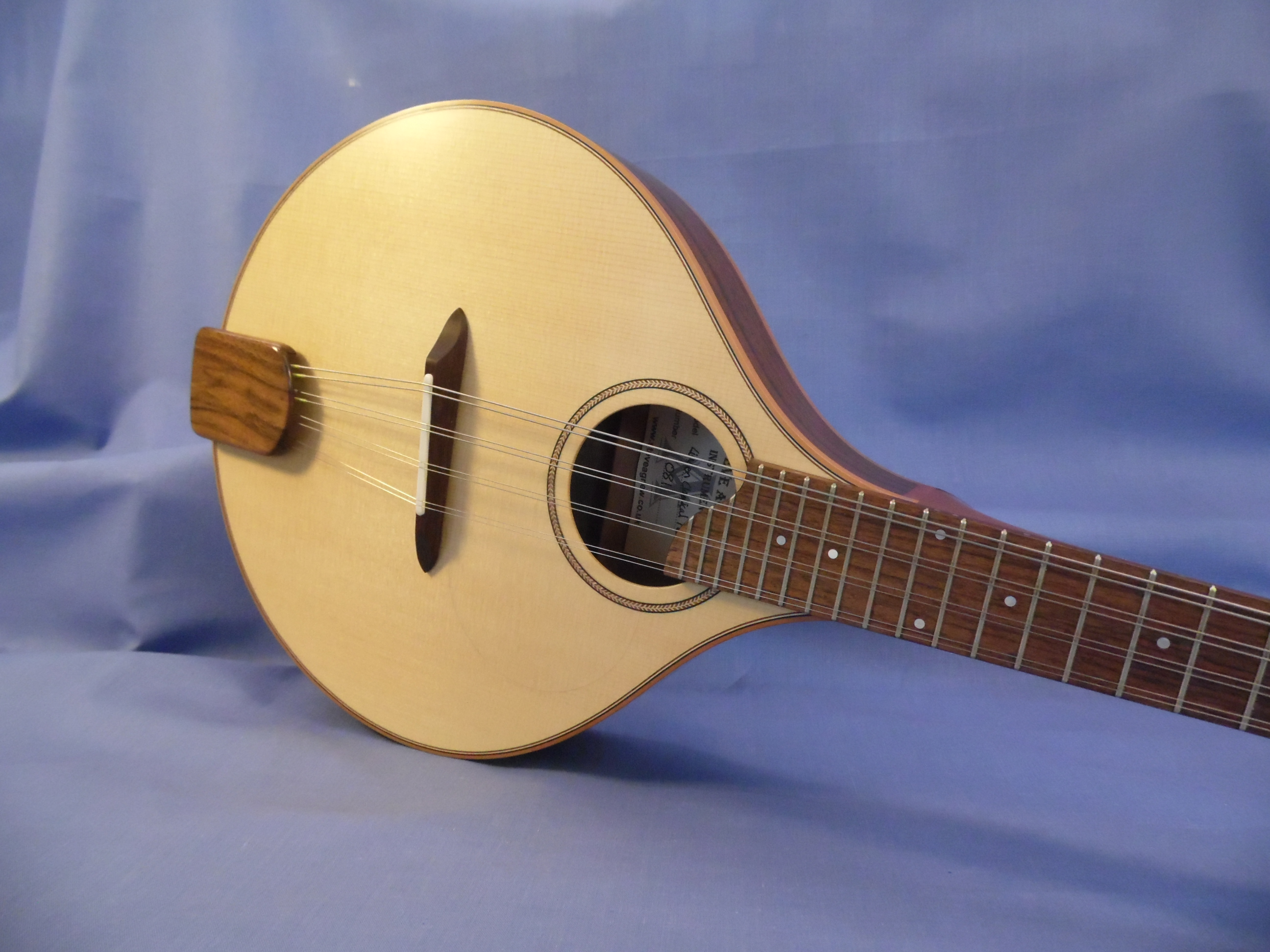 Mandolins | steve-agnew
