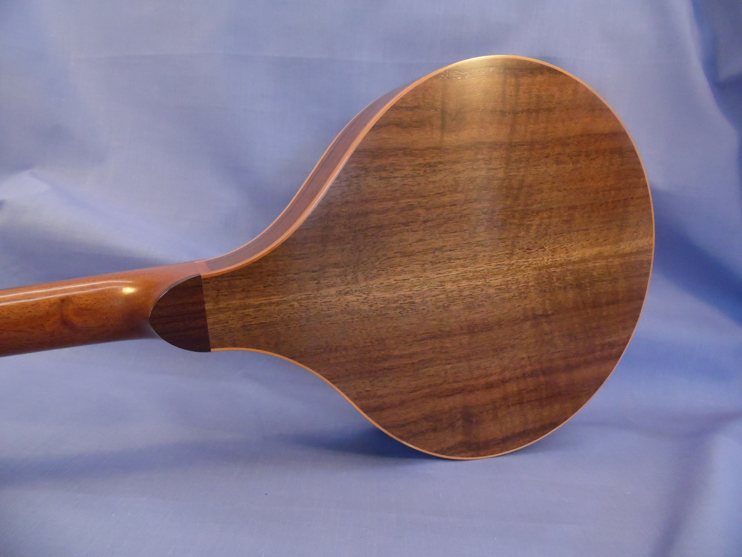 Mandolins | steve-agnew