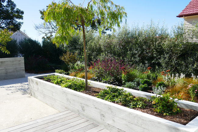 Louise Hanlon | Auckland Garden DesignFest