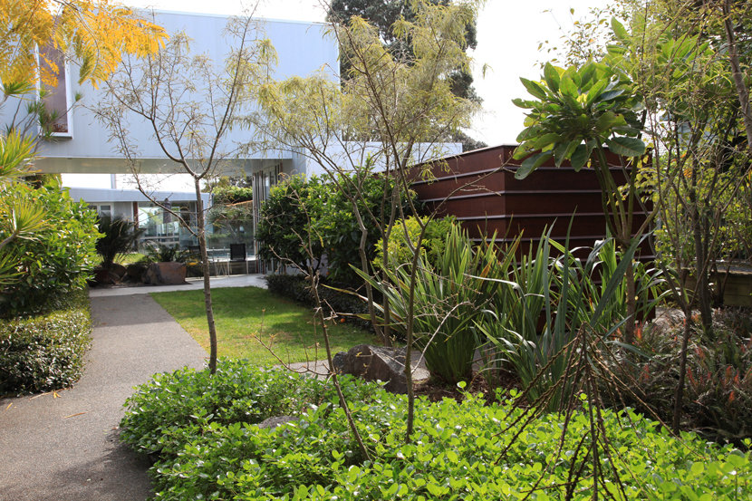 2024 Garden 8 - Pt Chevalier