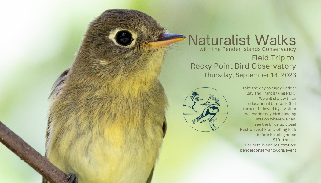 Explore Beyond Our Shore: Naturalist Field Walk to Pedder Bay and ...