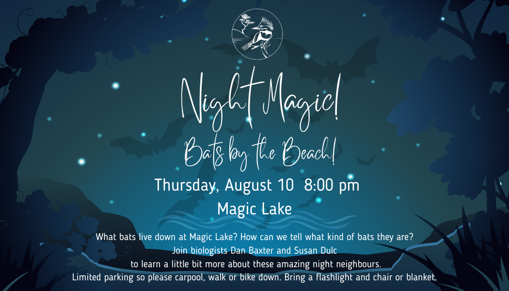 Night Magic! Bats by the beach at Magic Lake! | Pender Conservancy
