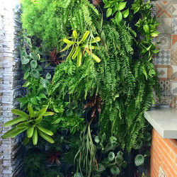 Deflora | Home | Paisagismo | Jardinagem | Floricultura | Goiás