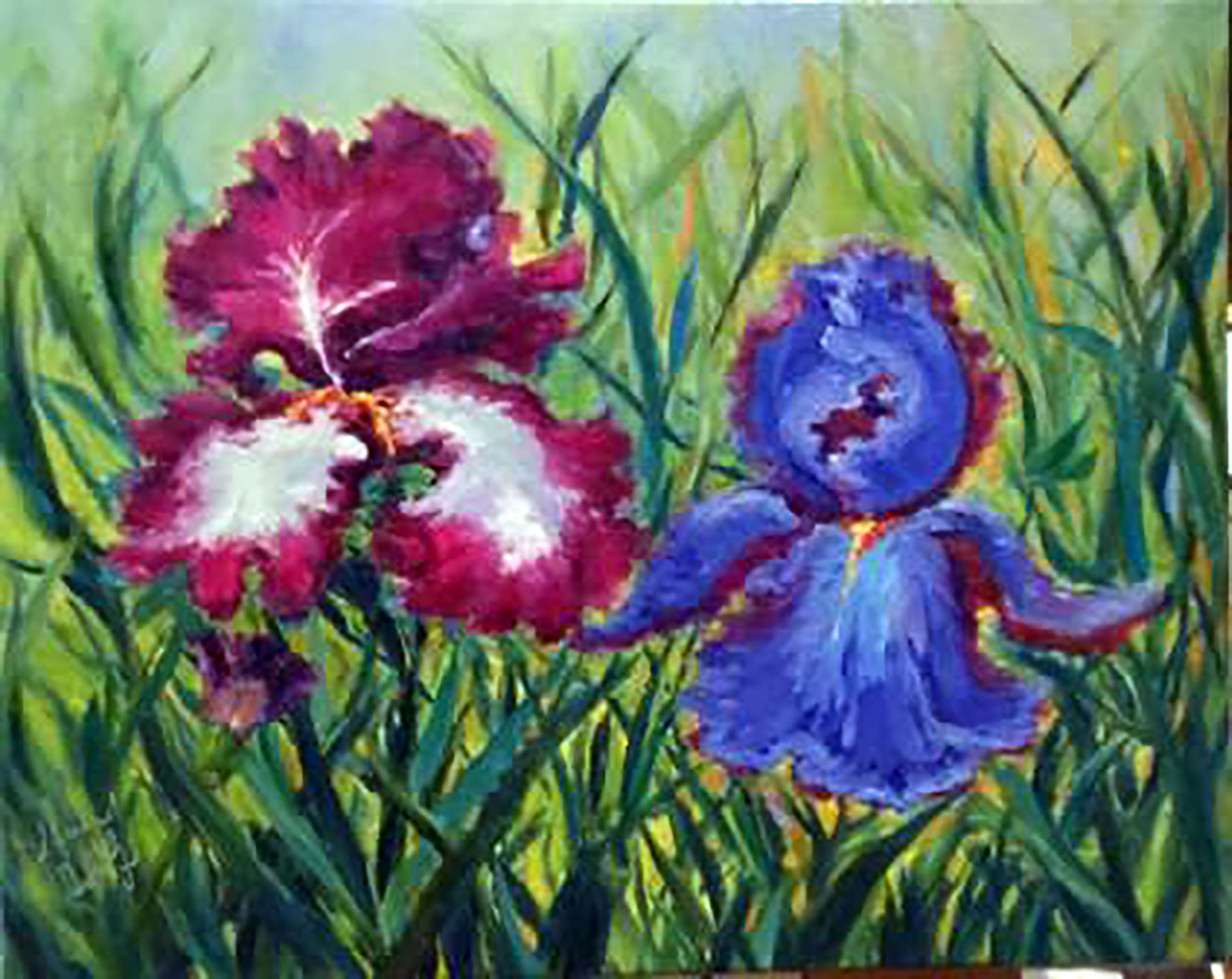 Sharon DeSailly Art | Australian Original Artwork | Paintings