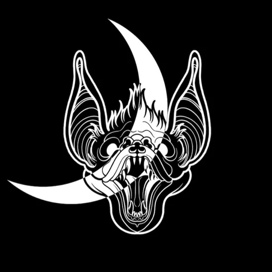 Microbat Systems x BAJA Designs tee | DEVTSIX