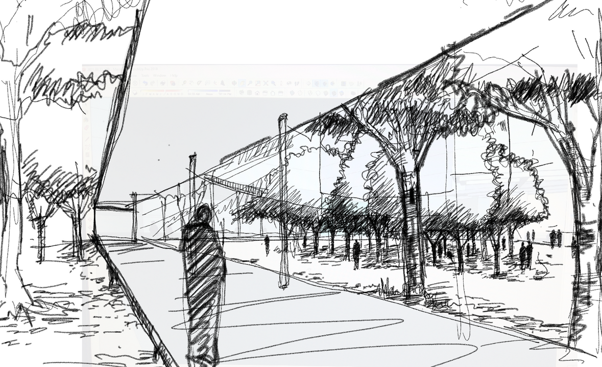 the forest canopy | groundstory