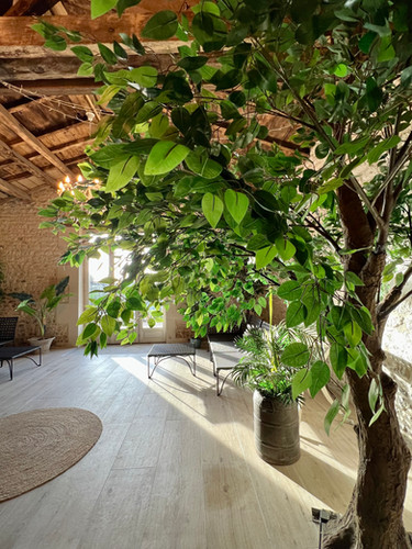 Tree - life size | No3TheChateau