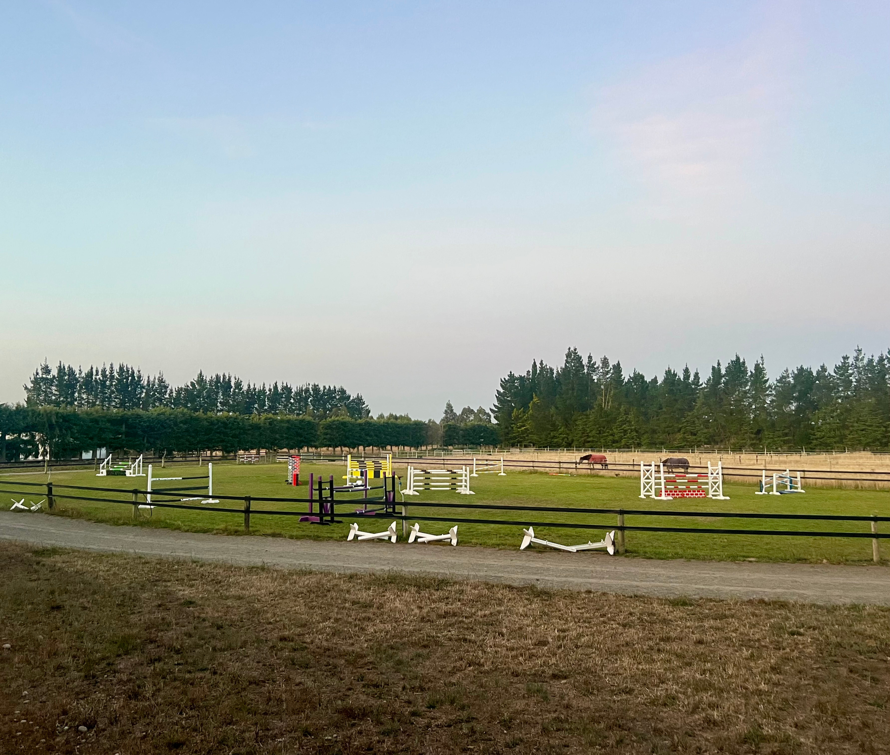 Showjump Grass Arena Hire - FullDay Hire | MGD Equestrian