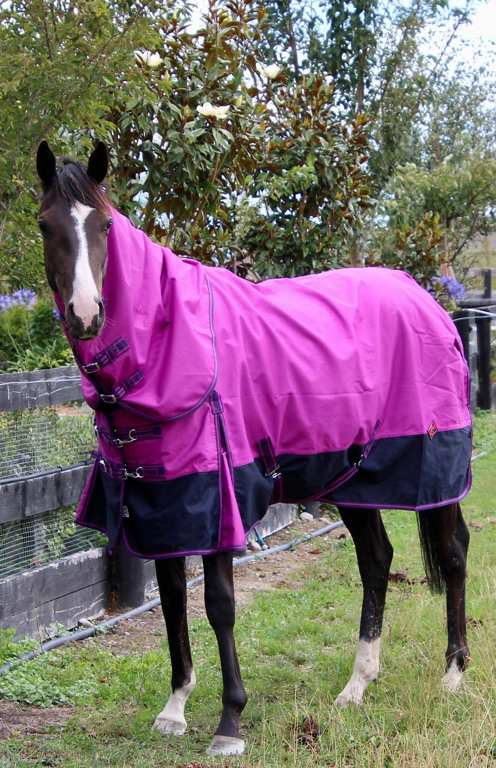 3'9 WOOL LINED NO FILL DETACHABLE | Zeberdee