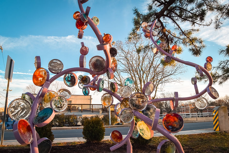 Public Art Projects | Salisbury Arts Alliance