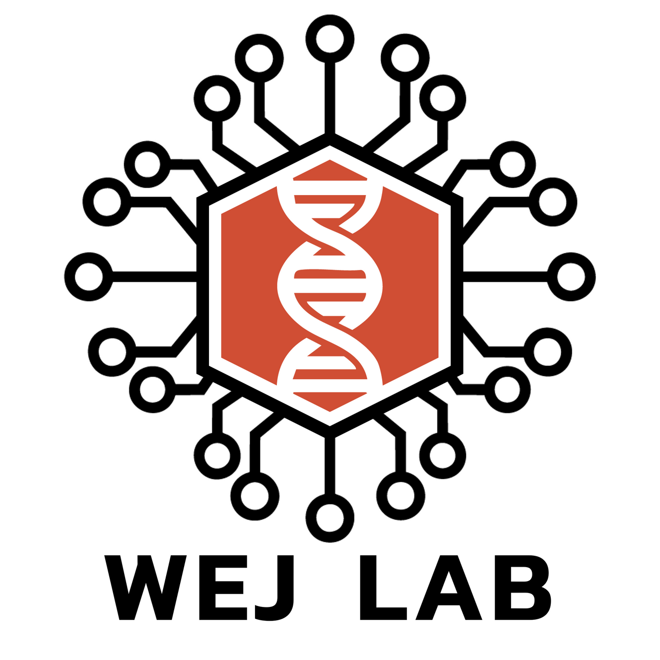 Meet Our Team | Johnson Lab